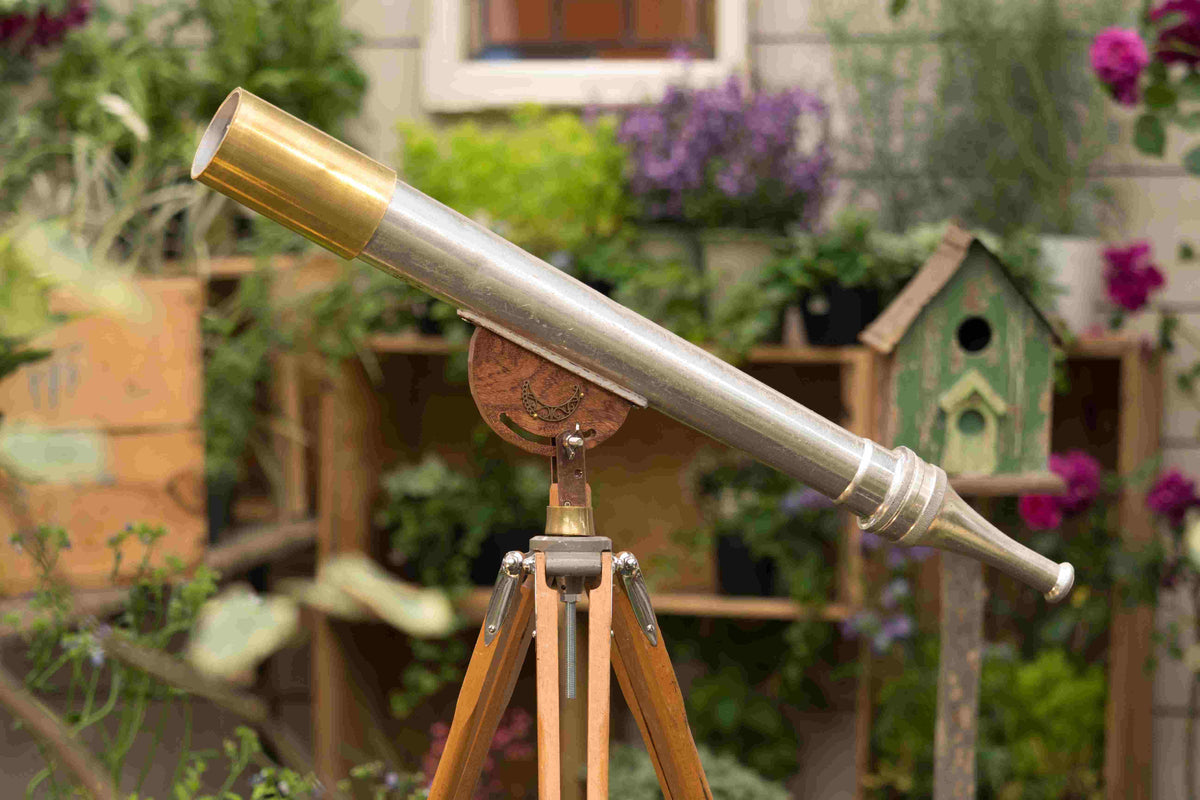 Men’s Guide to Creating a Backyard Observatory for Stargazing – Beard ...